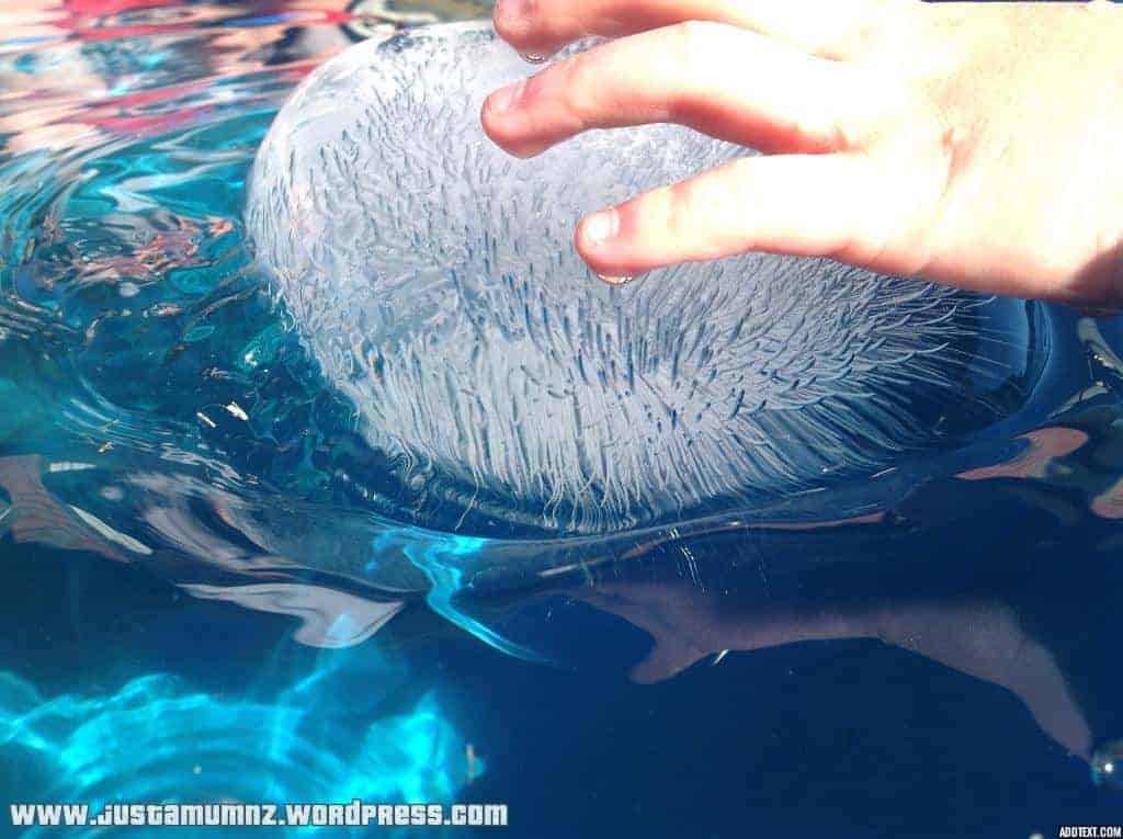 Ice Balloons - Sciencey Fun - Just a Mum's Kitchen